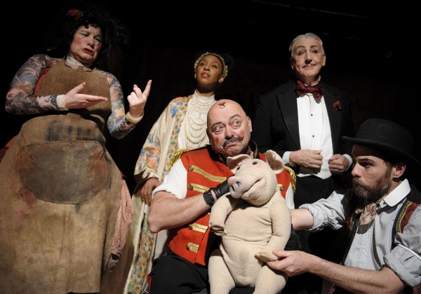 Unlimited 2014: Garry Robson on Edmund the Learned Pig - Disability ...