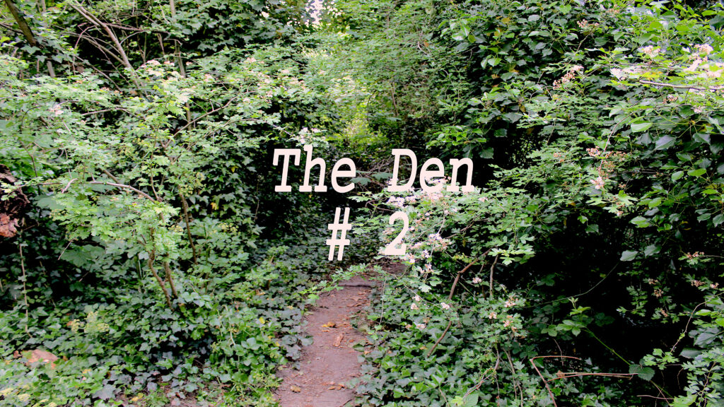 Showcase - Sop, The Den: meditative sound art in response to lockdown