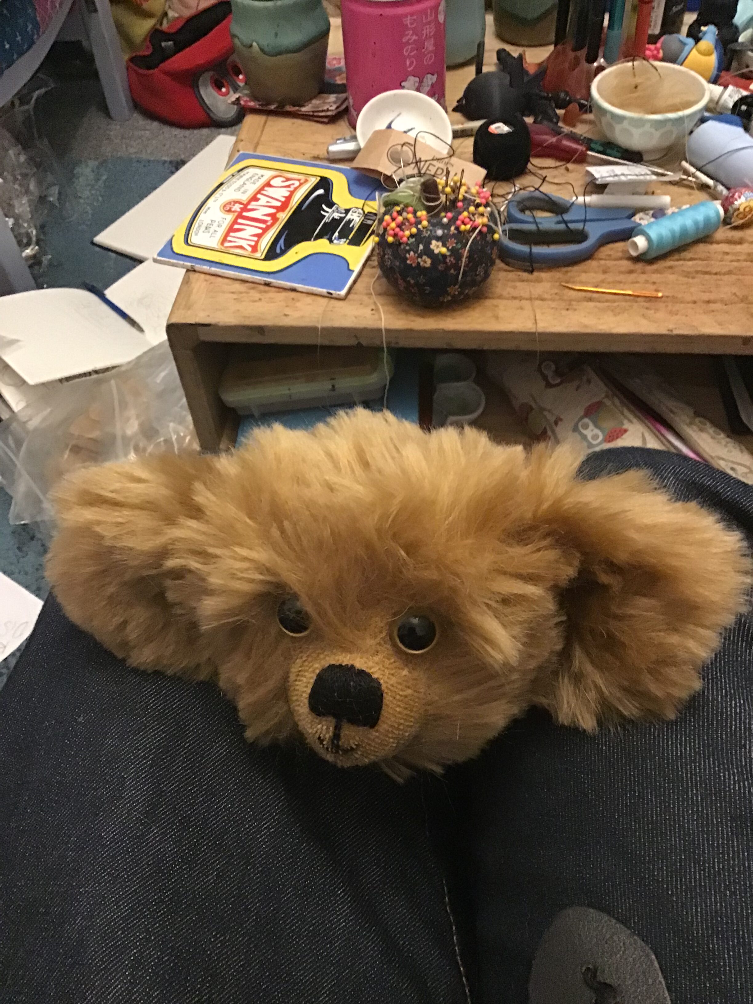 Blogs - Christopher Hoggins - Putting the swear in bear.