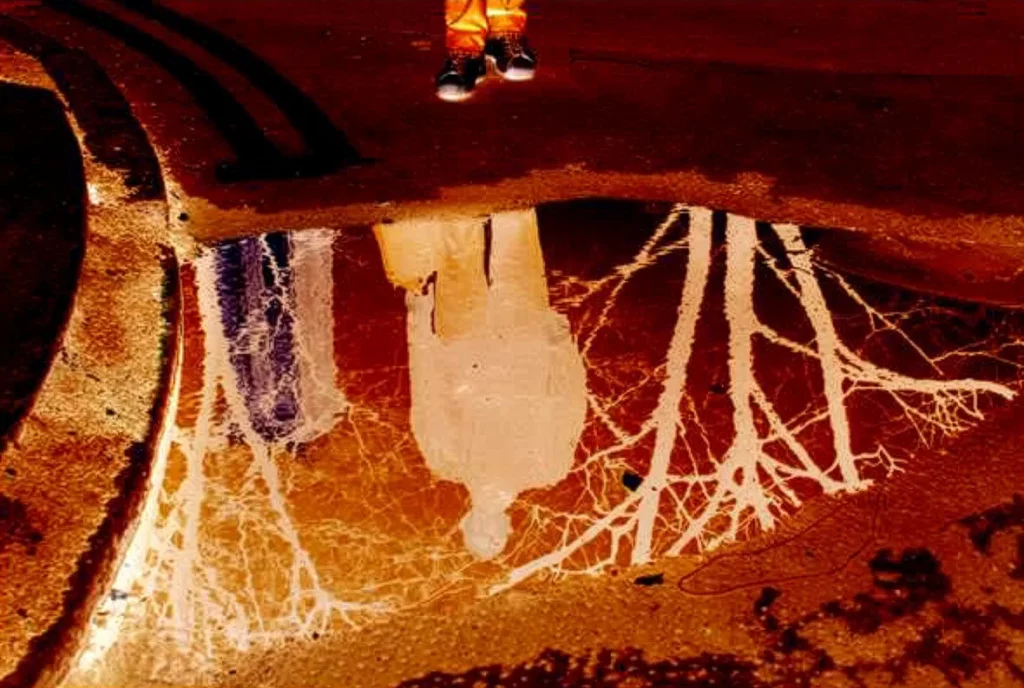 Blogs - Michelle Baharier - Artist Michelle Baharier on Process ...